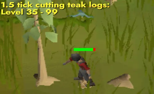 OSRS Woodcutting Guide: Fastest Way From 1-99 For F2P & P2P