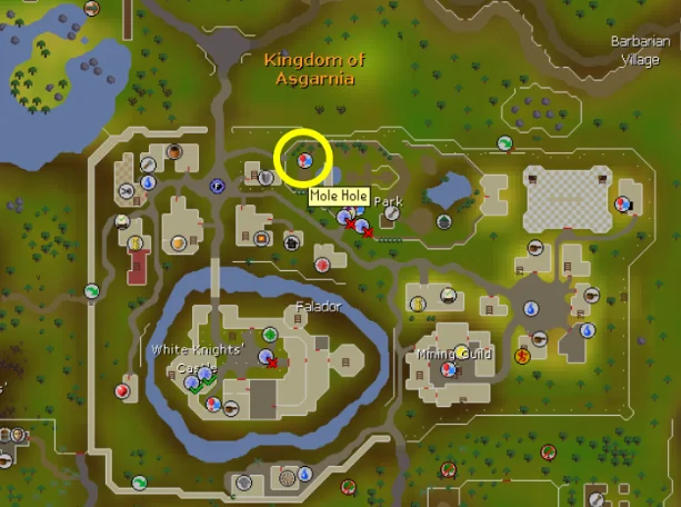 OSRS Giant Mole guide: strategies, gear setup & GP per hour