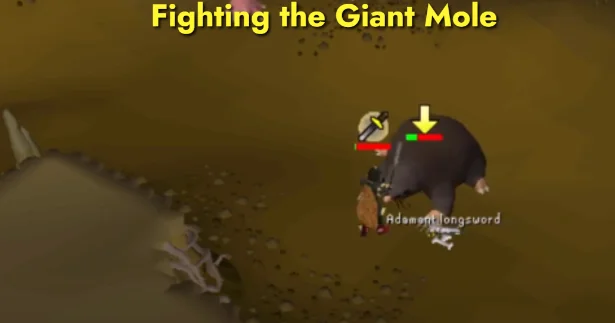OSRS Giant Mole guide: strategies, gear setup & GP per hour