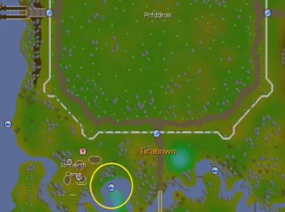 OSRS Fly Fishing Guide: XP Rates & Best Spots For F2P & P2P