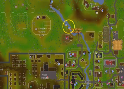 OSRS Fly Fishing Guide: XP Rates & Best Spots For F2P & P2P