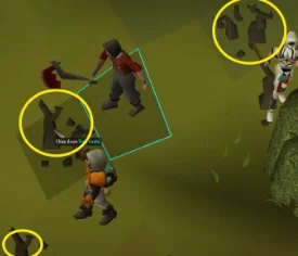 OSRS Forestry Guide: XP Rates, Locations, Worlds & Rewards