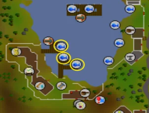 OSRS Shark Fishing Guide: Best Spots, XP Rates & GP Per hour