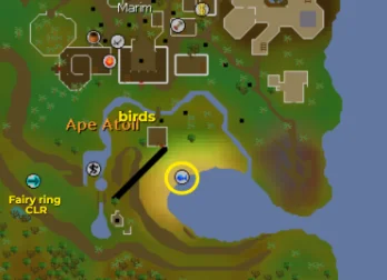 OSRS Shark Fishing Guide: Best Spots, XP Rates & GP Per hour